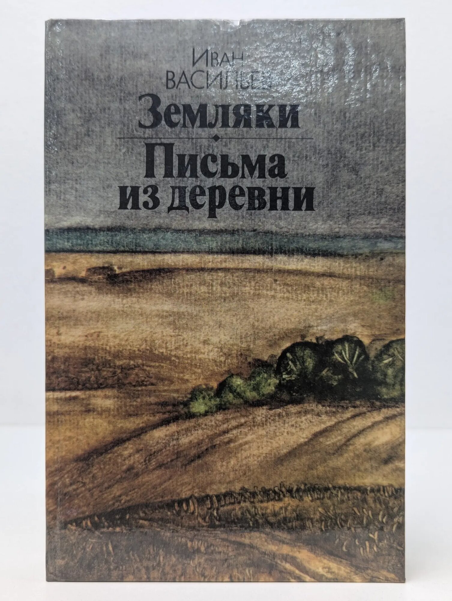 Иван Васильев. Земляки. Письма из деревни Васильев Иван Афанасьевич 1985