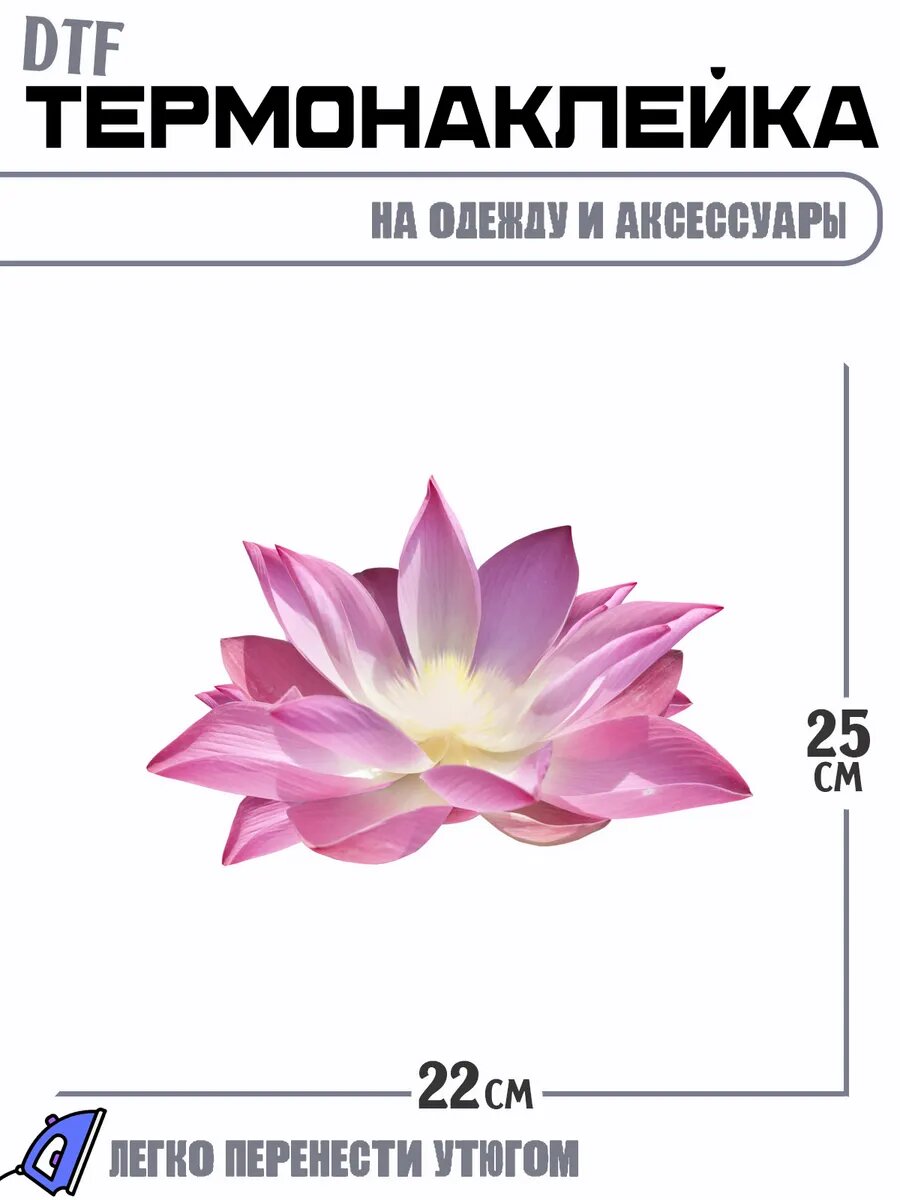 Термонаклейка лотос растение lotus