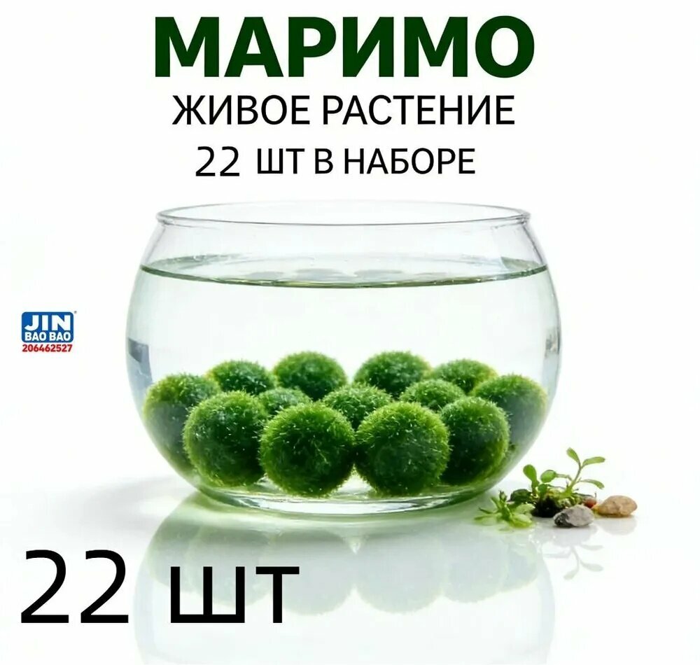 Моховой шар Marimo, 22 штуки, диаметр 1CM-2CM