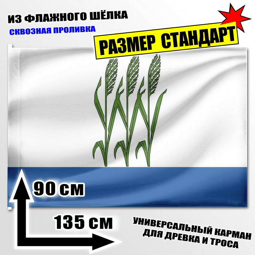 Флаг Камышина 135x90 см.