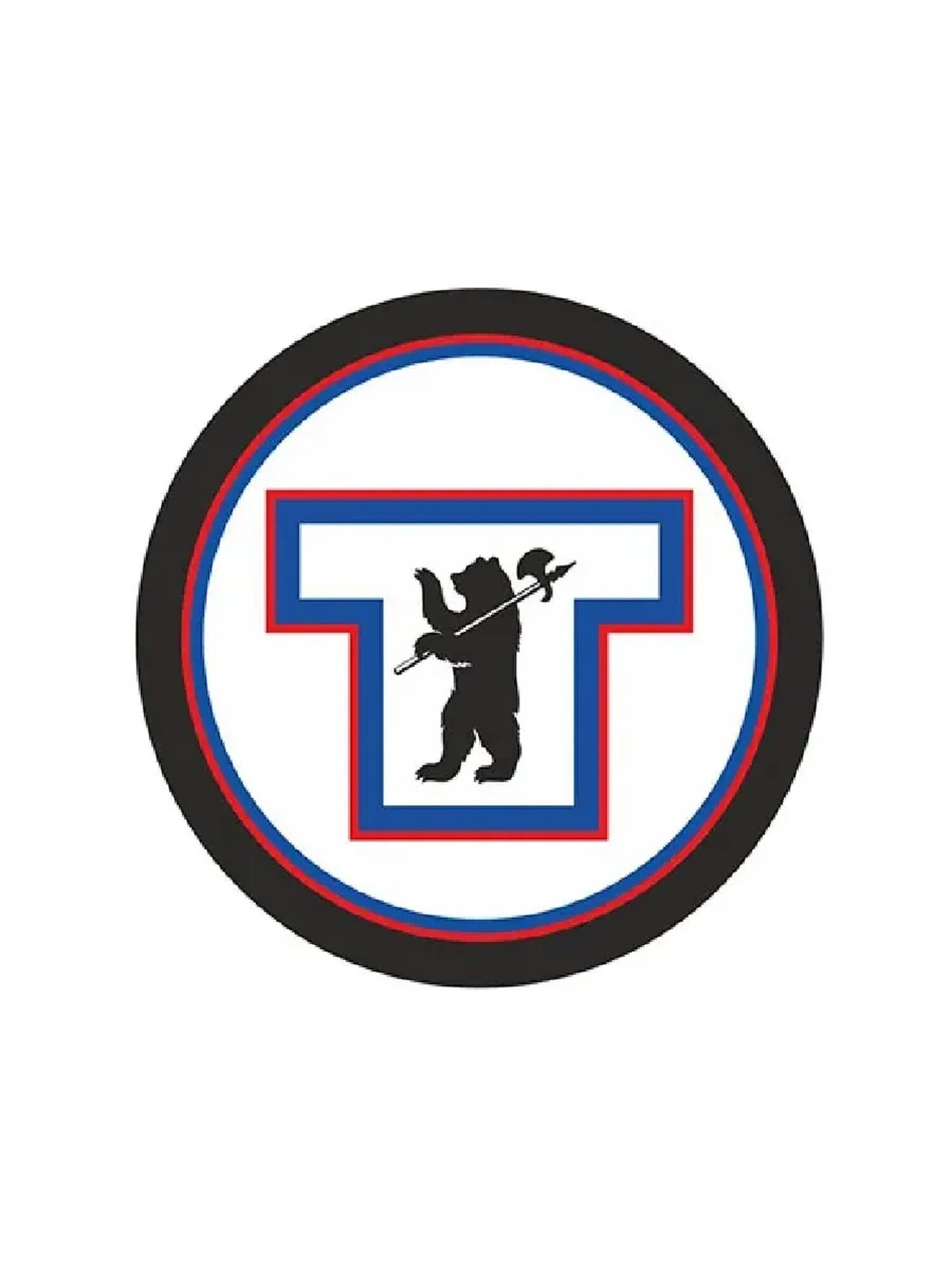 Шайба Sportfanat Торпедо Ярославль 1996 1-ст, 76 мм, цвет черный