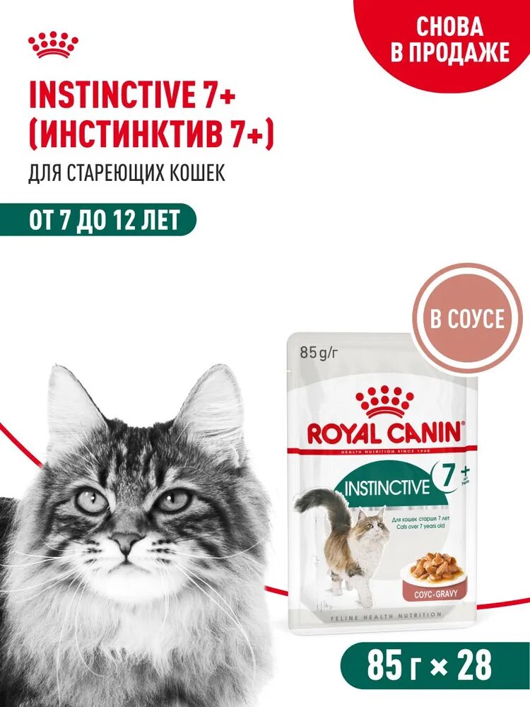 Влажный корм для кошек Royal Canin Instinctive 7+ кусочки в соусе, 85 г х 28 шт