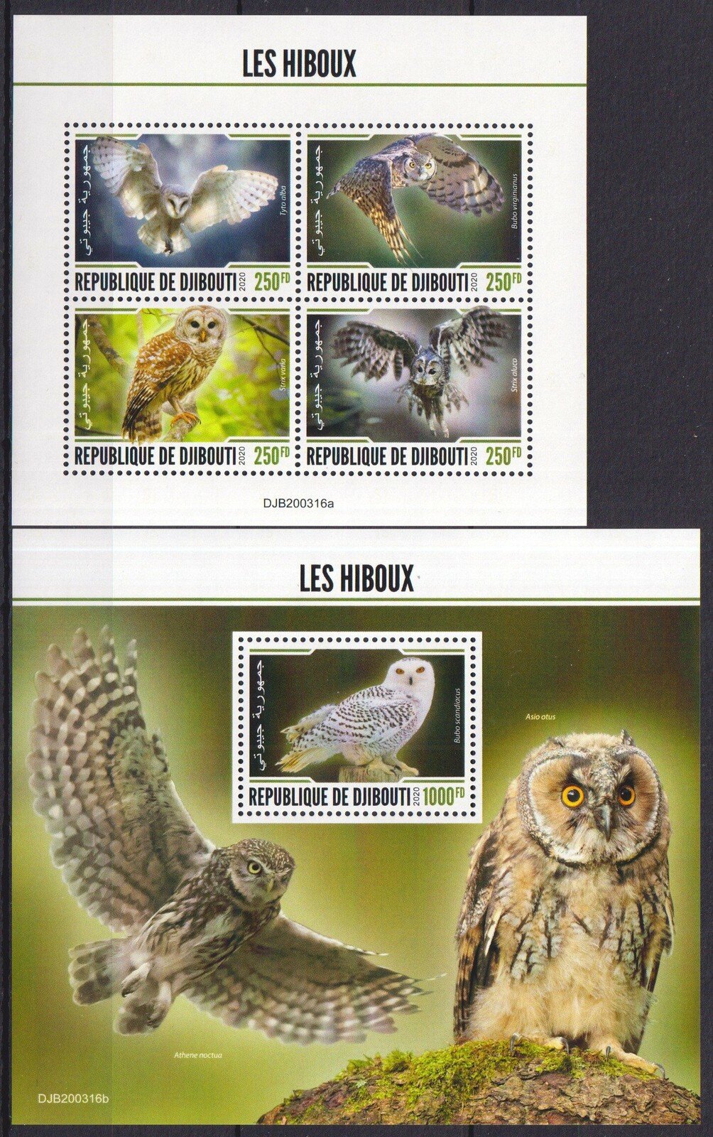 Марки 2020 год Джибути Совы Хищные птицы Фауна #3549-3552+Bl1430 Mnh