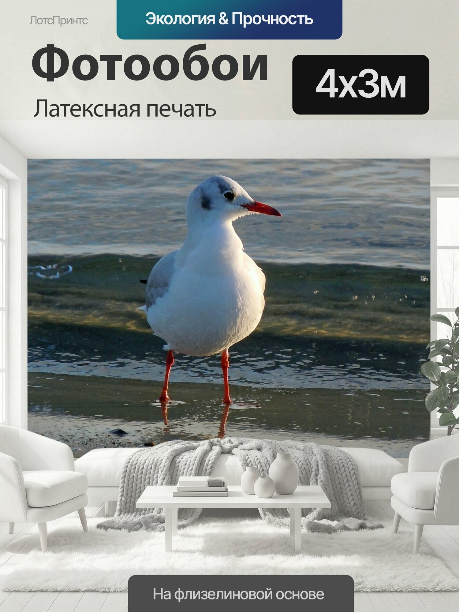 Фотообои моющиеся ударопрочные "Черноголовая чайка, чайка, закрывать" 400x300 см. латексная печать