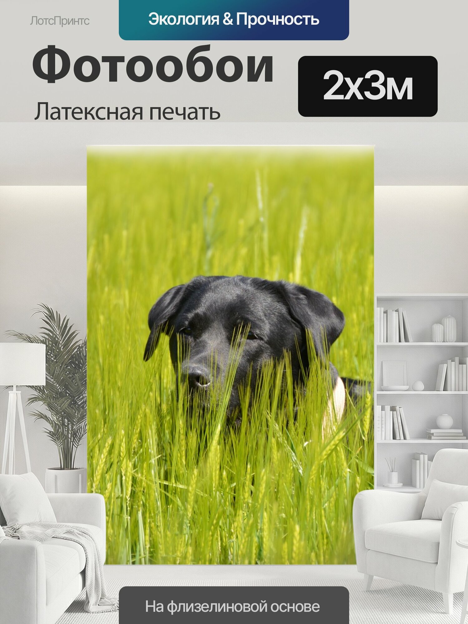 Фотообои моющиеся ударопрочные "Трава, собака, лабрадор" 200x300 см. латексная печать