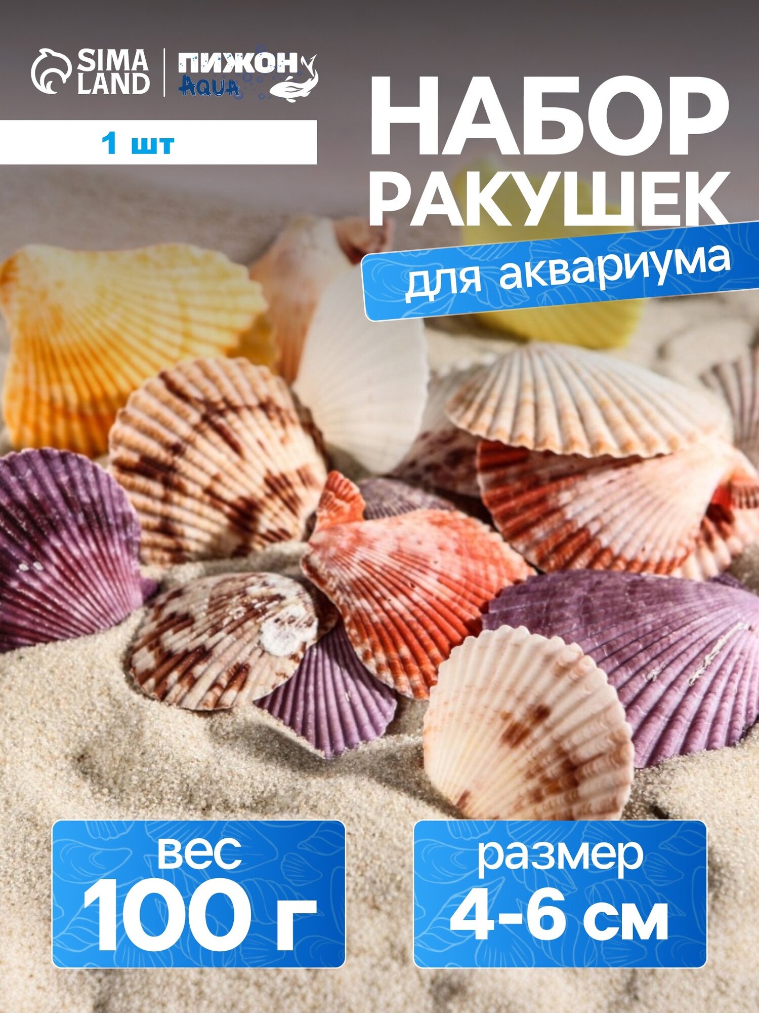 Набор ракушек 4-6см Пижон Aqua Пектен Вексиллум, для аквариума/террариума, 100г