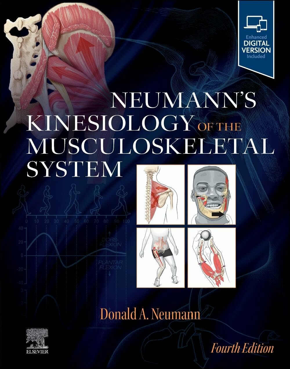 Neumann’s Kinesiology of the Musculoskeletal System，Reprinted books
