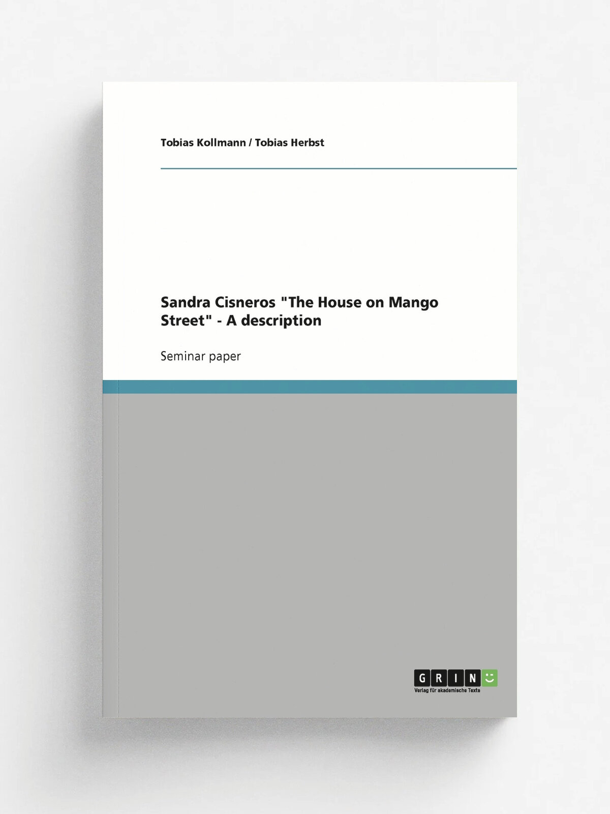 Sandra Cisneros "The House on Mango Street" - A description