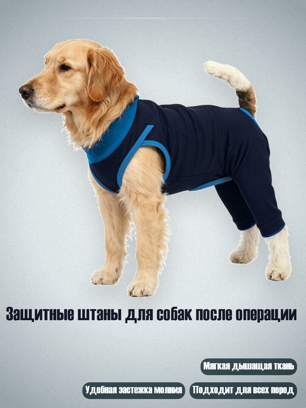 Защитные штаны для собак после операции, темно-синий - M