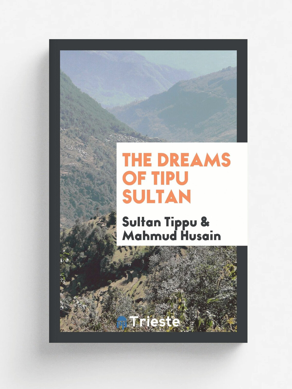 The dreams of Tipu Sultan