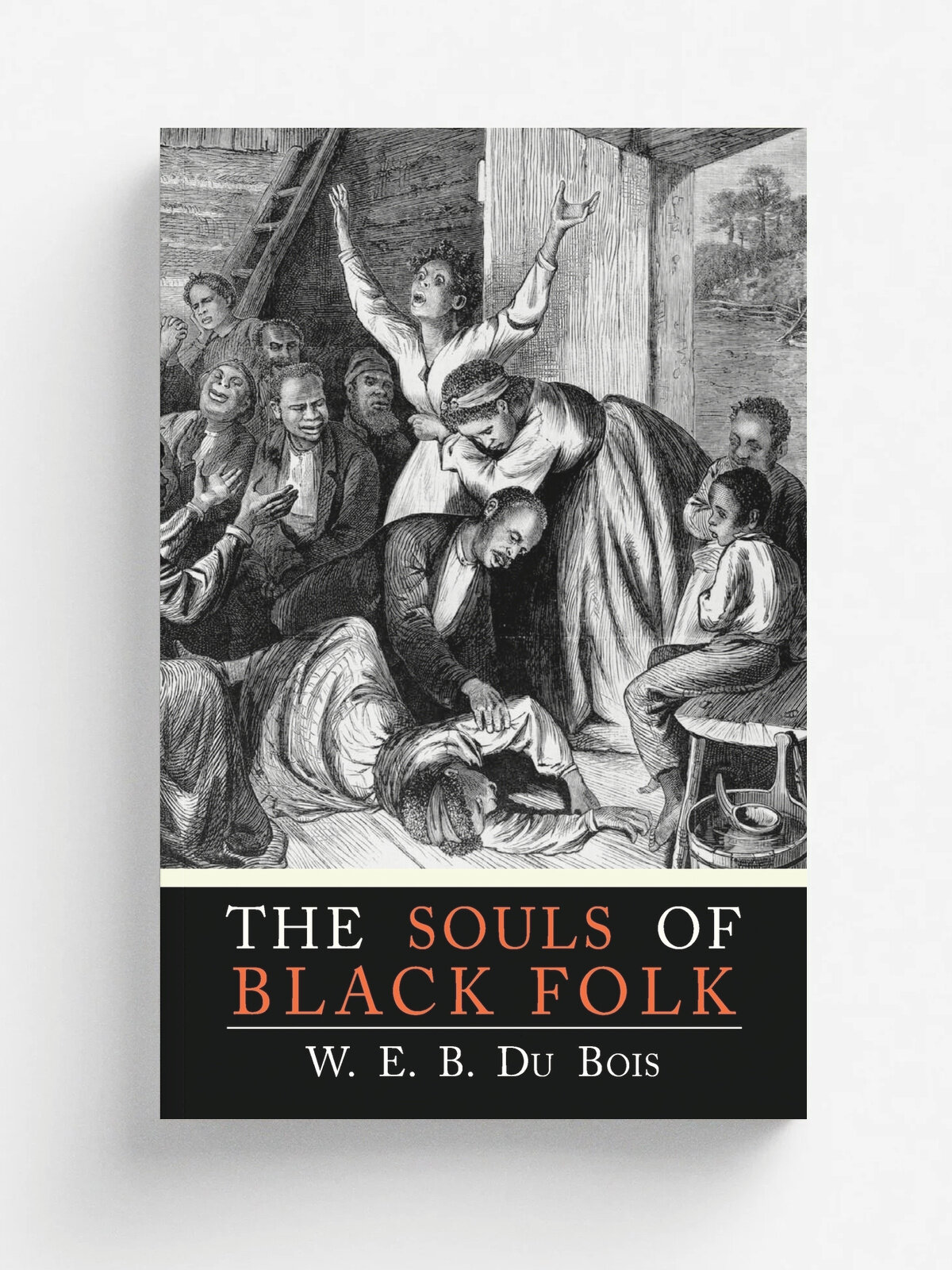 The Souls of Black Folk