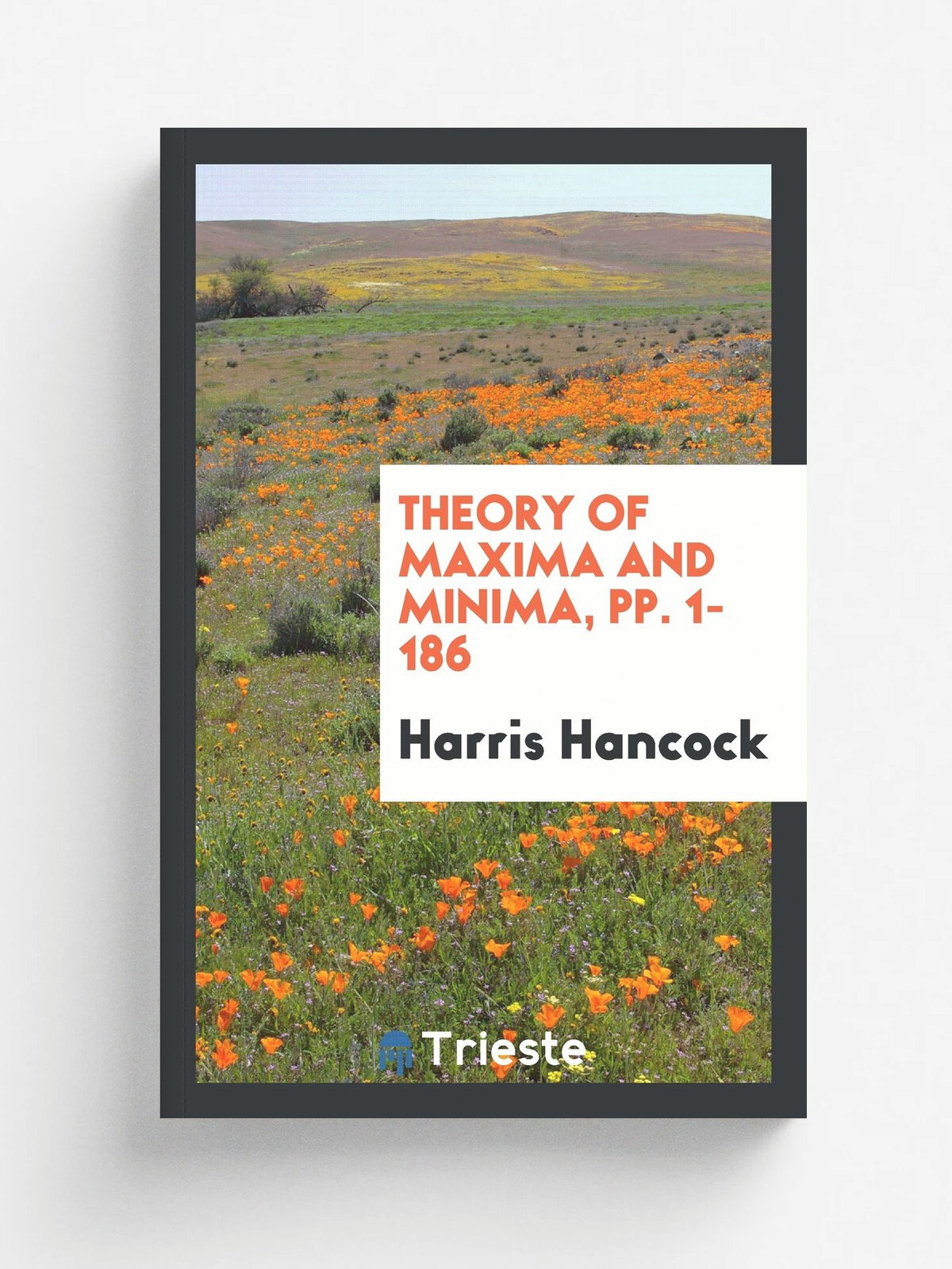Theory of Maxima and Minima, pp. 1-186