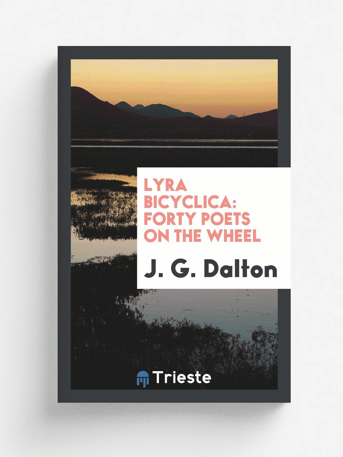 Lyra Bicyclica. Forty Poets on the Wheel