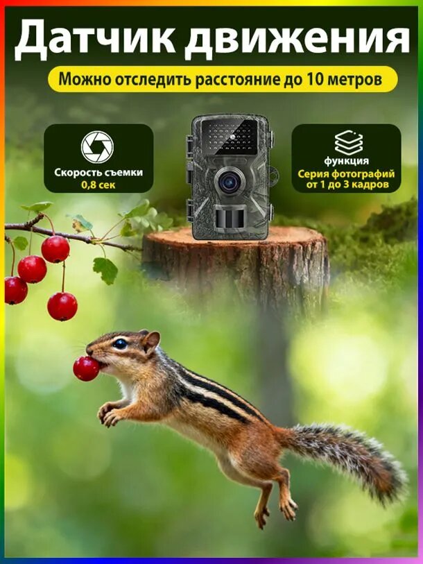 Фотоловушка — фото 1