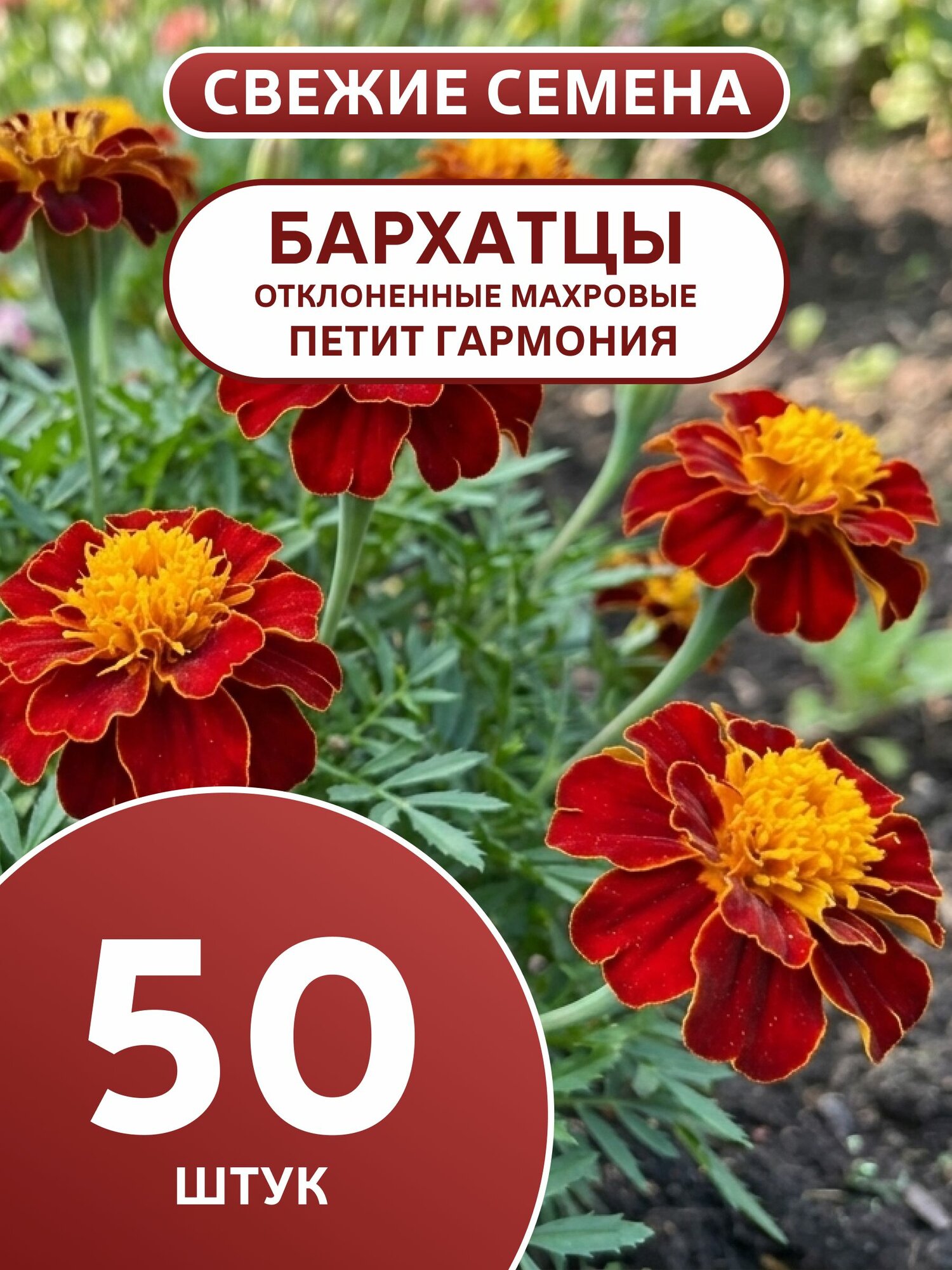 Бархатцы махровые семена для выращивания 50 шт