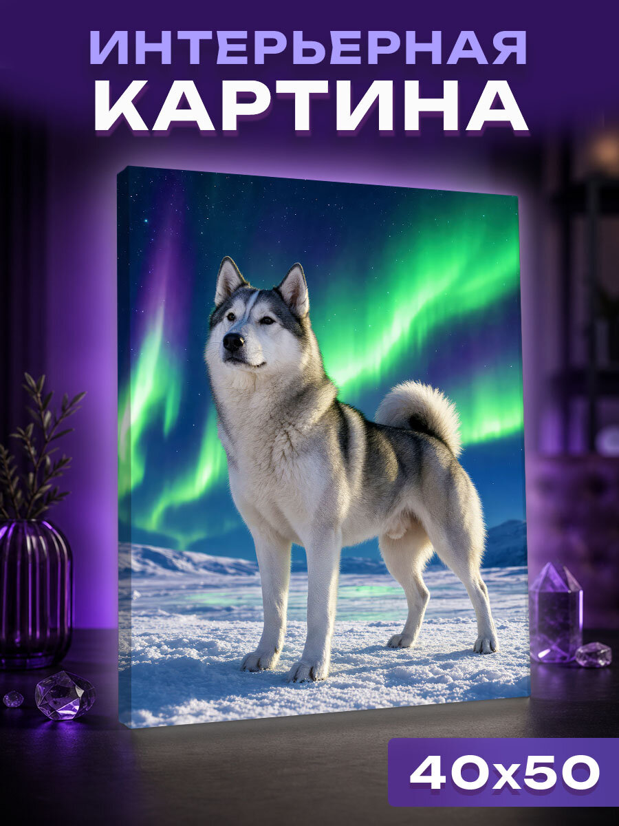 Интерьерная картина Лайка под северным сиянием