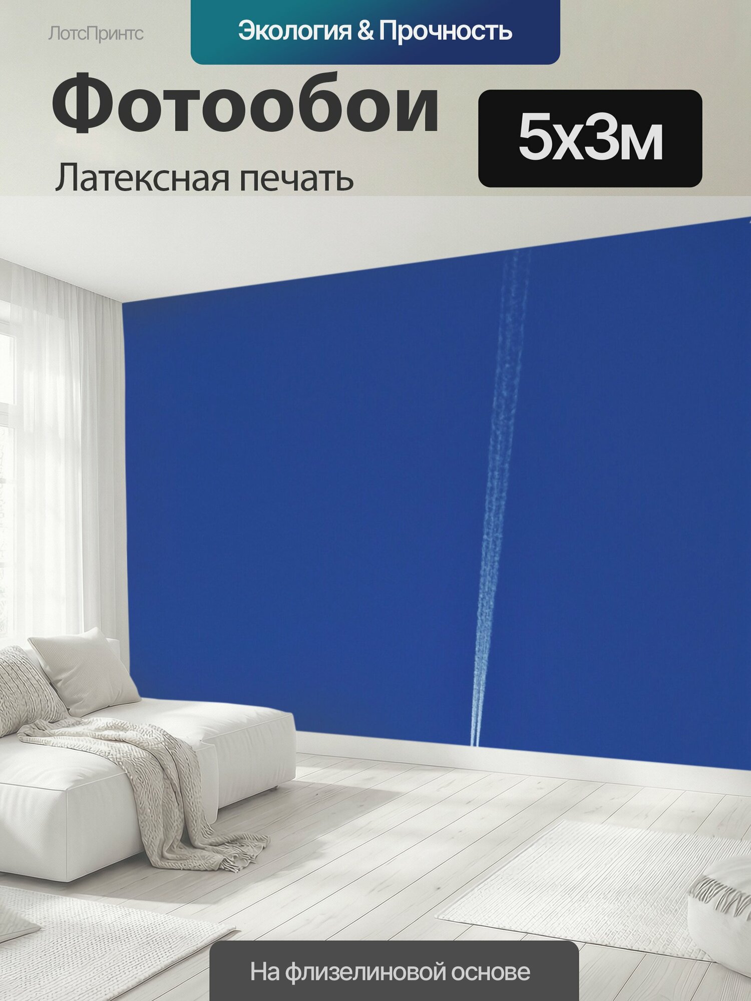 Фотообои моющиеся ударопрочные "Фотография, небо, самолет" 500x300 см. латексная печать