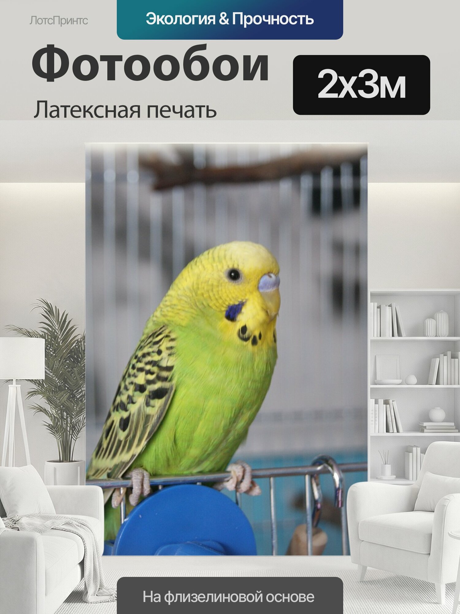 Фотообои моющиеся ударопрочные "Попугай, волнистый попугайчик, маленький попугай" 200x300 см. латексная печать