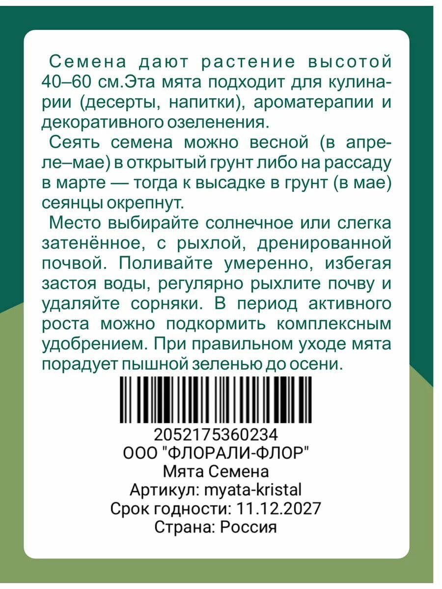Мята Семена — фото 1
