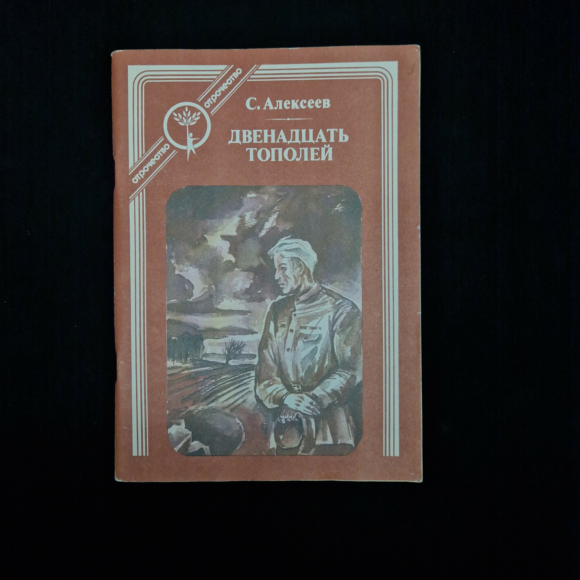 Двенадцать тополей. Книга СССР, историческая литература для подростков