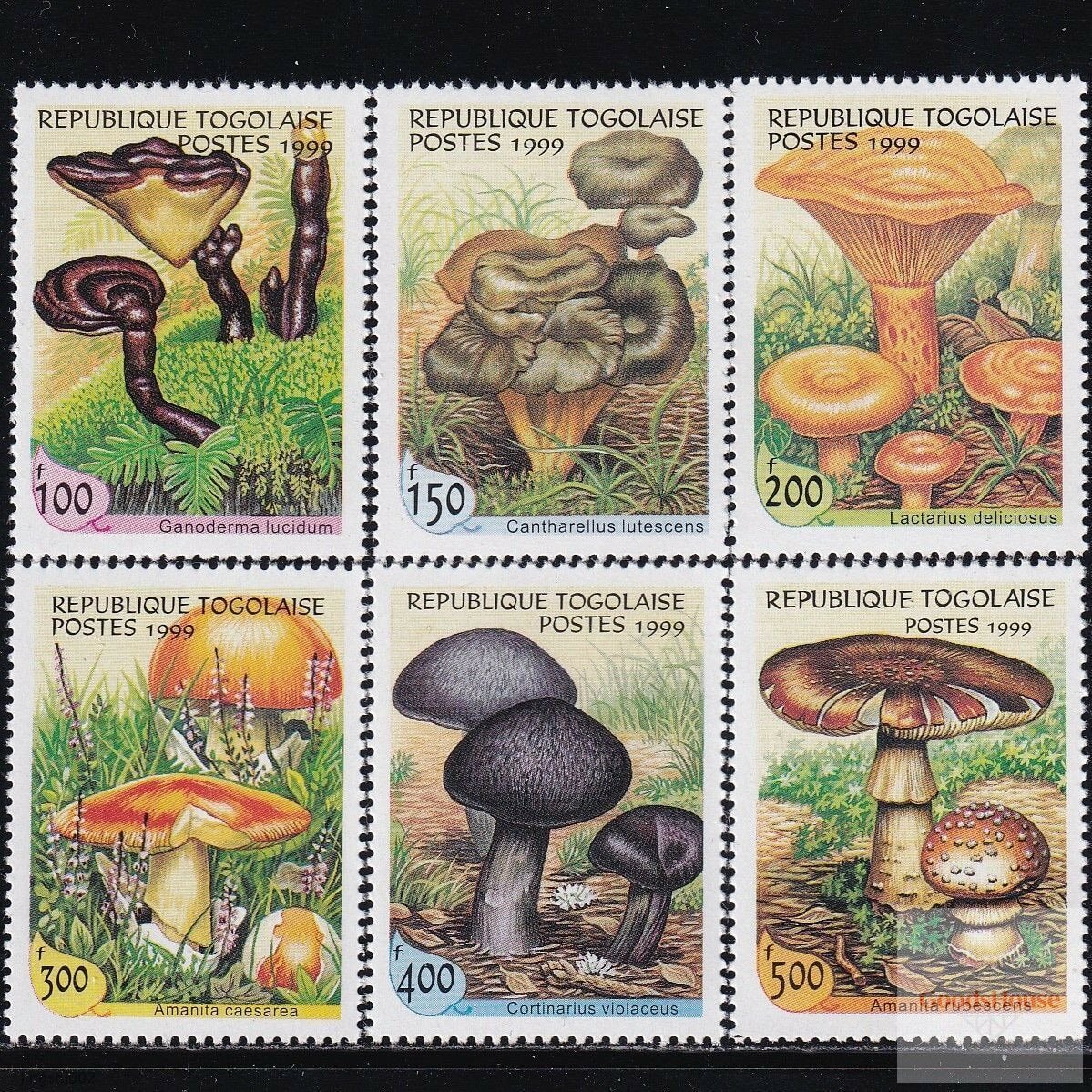 Togo 1999 Тематические марки с грибами (6 шт.)