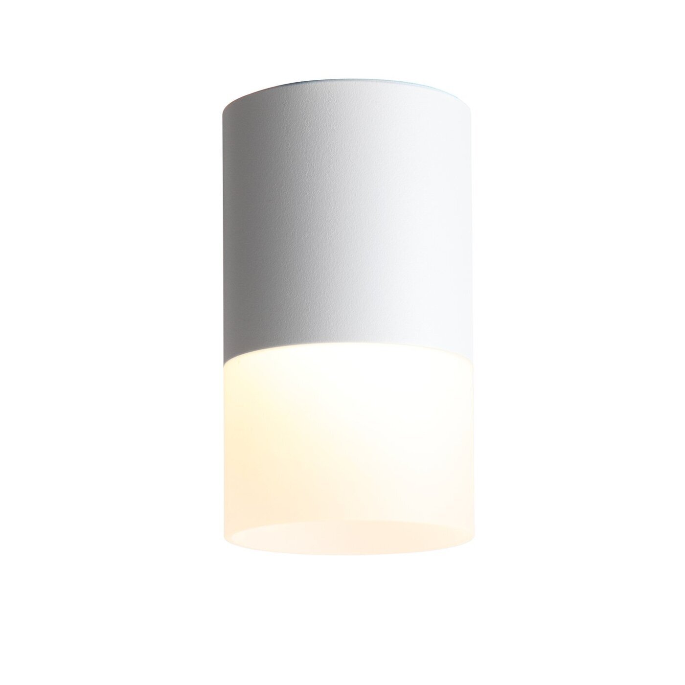 ST100.502.10 Светильник потолочный ST-Luce Белый/Белый LED 1*10W