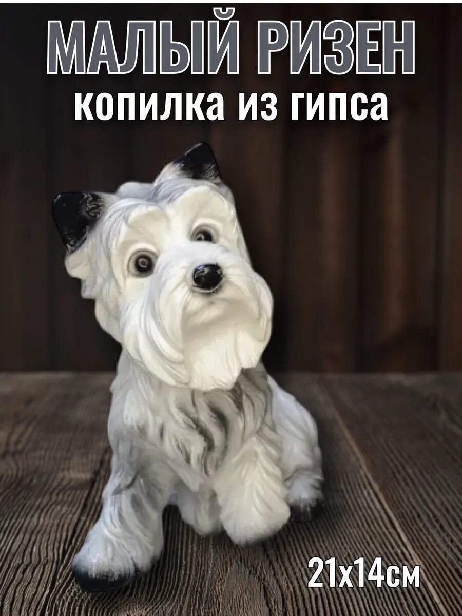 Копилка для денег "Собака малый Ризен"