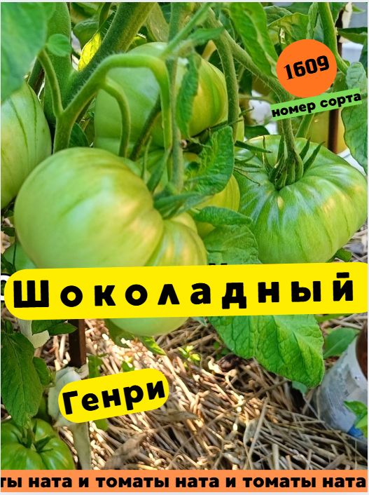 Семена томата Шоколадный Генри, Селекция С. Сааковой Коллекционный сорт 10 шт