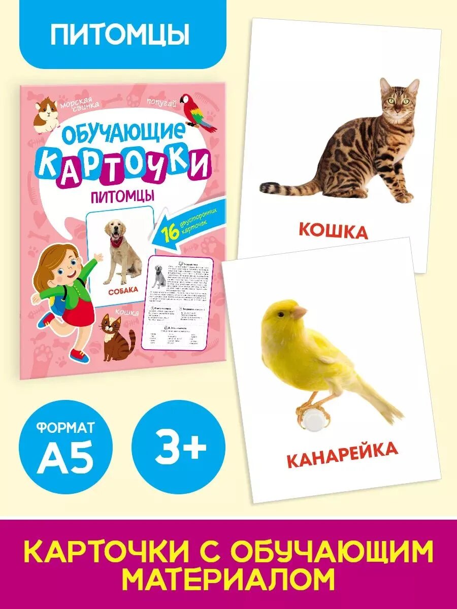 Обучающие карточки для малышей Проф-Пресс "Питомцы", А5, 16 шт.