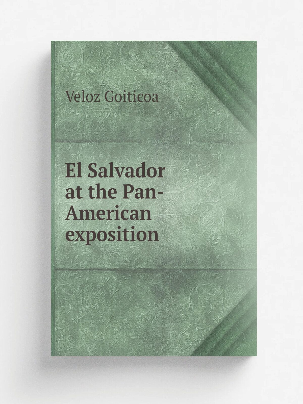 El Salvador at the Pan-American exposition | Veloz Goiticoa | 1901 | Buffalo, N.Y. | Репринт