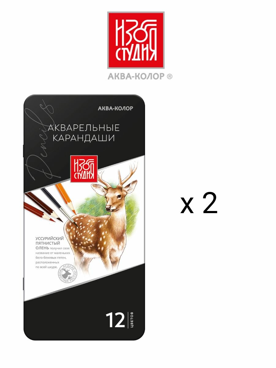 Аква-колор карандаши акварельные Изостудия, заточенные, упаковка 2 набора по 12 цветов IZO-WCPM12