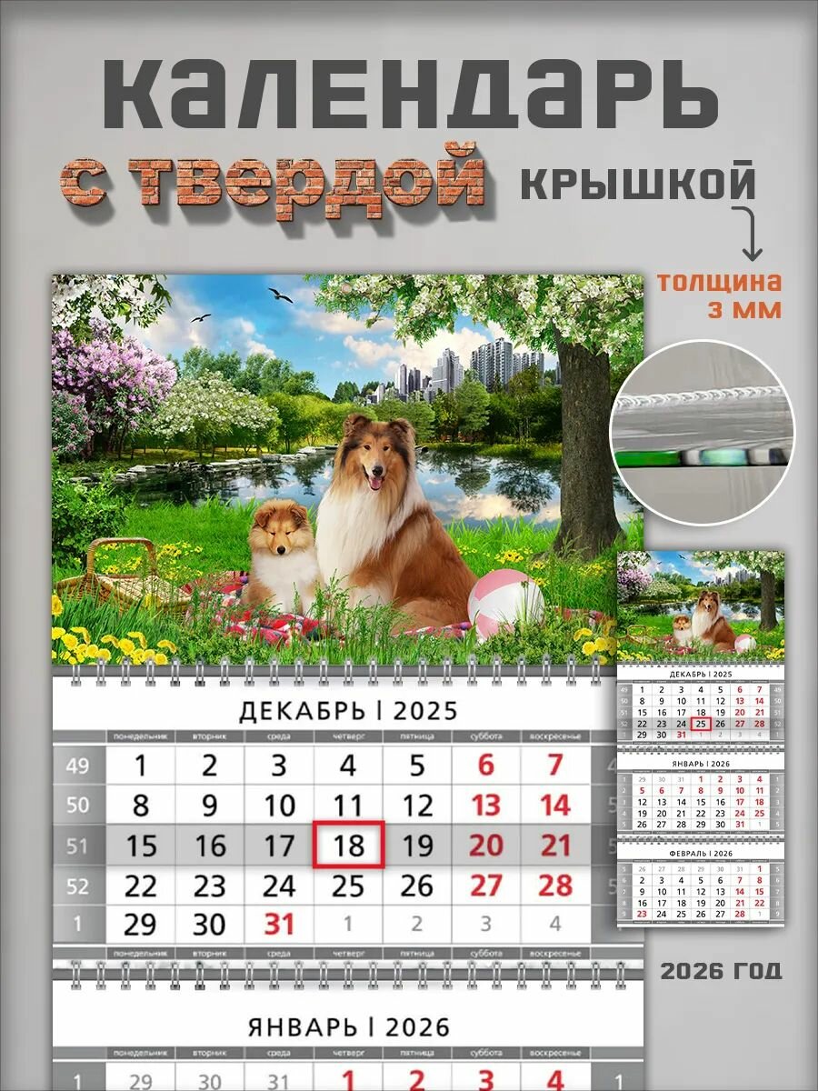 Настенный квартальный календарь "Собаки колли"