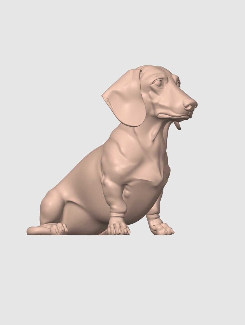 Эксклюзив! Ростовая статуэтка собаки - Такса (10 см, бежевый матовый) - Верный друг, подарок, талисман