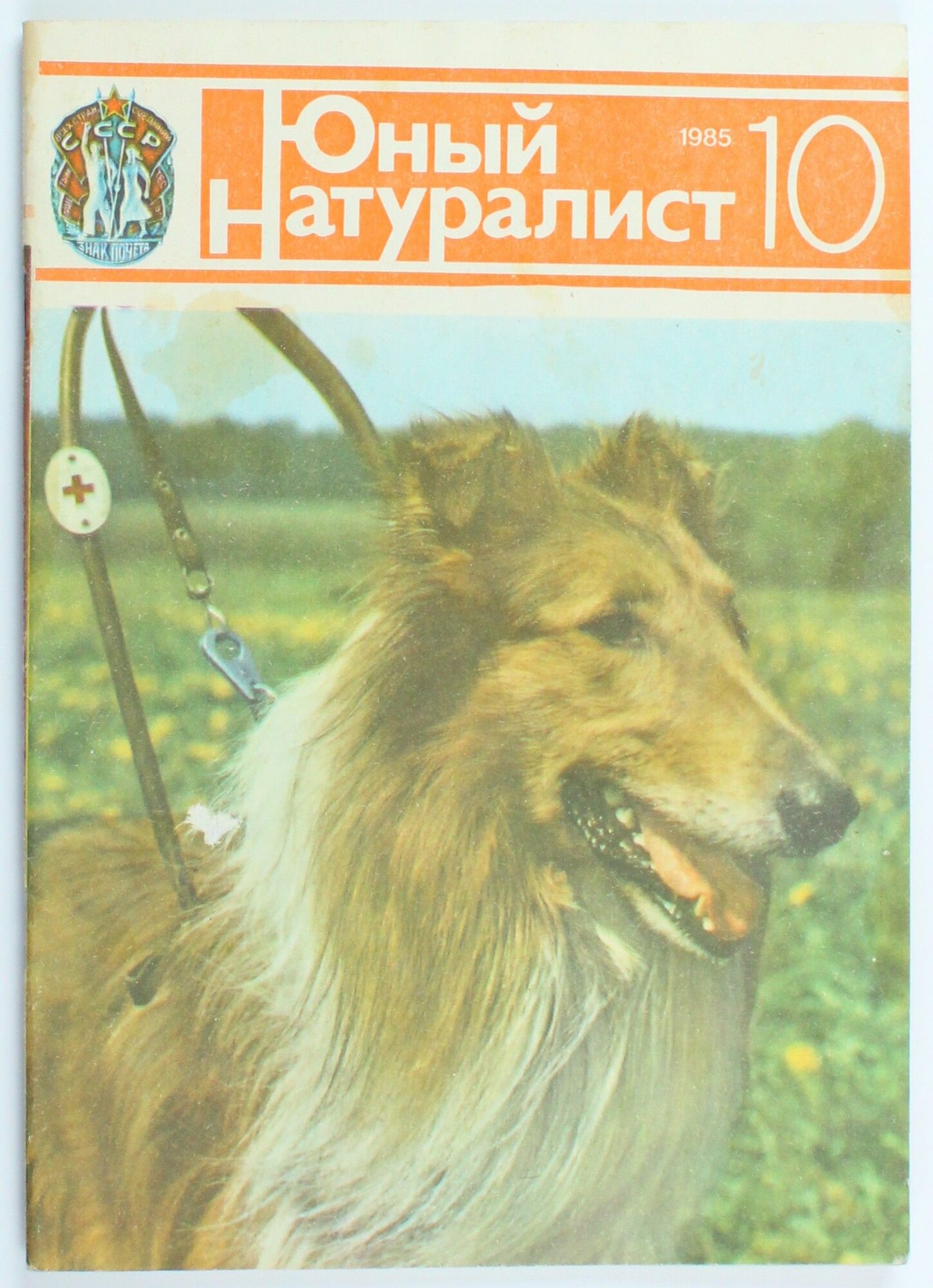 Винтажный журнал СССР Юный Натуралист, выпуск 10/1985
