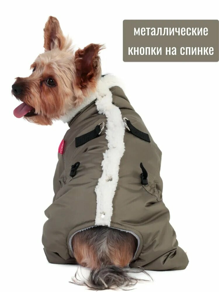 Одежда для животных — фото 1
