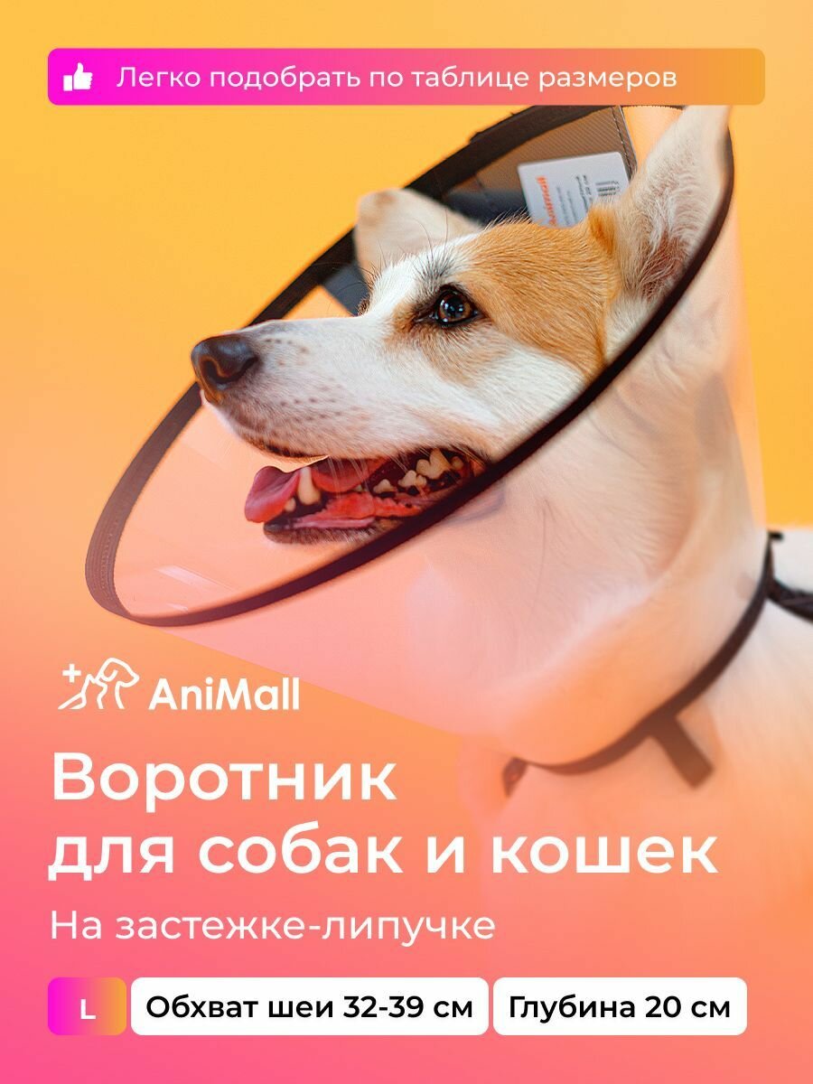 Воротник защитный ветеринарный для собак и кошек № 20 см, на липучке для средних пород / AniMall для кошек для собак средние породы