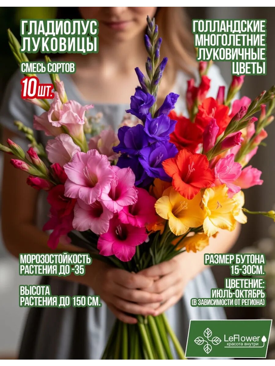 Гладиолус Луковица, Микс сортов, 10шт