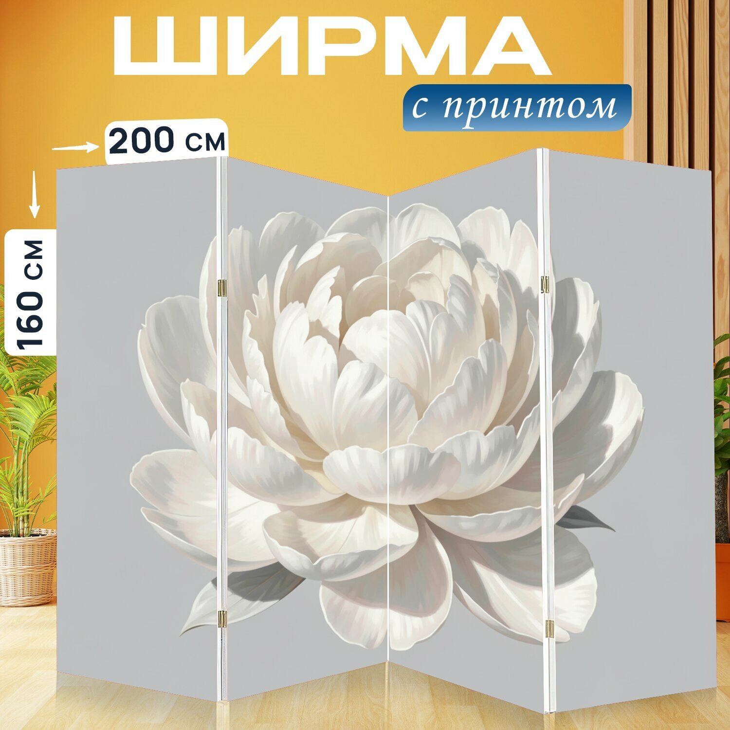 Ширма "Белый цветок на сером фоне. Нежный крупный бутон с многослойными лепестками в кремово-белых оттенках." перегородка для зонирования комнаты с принтом 200x160 см. на холсте