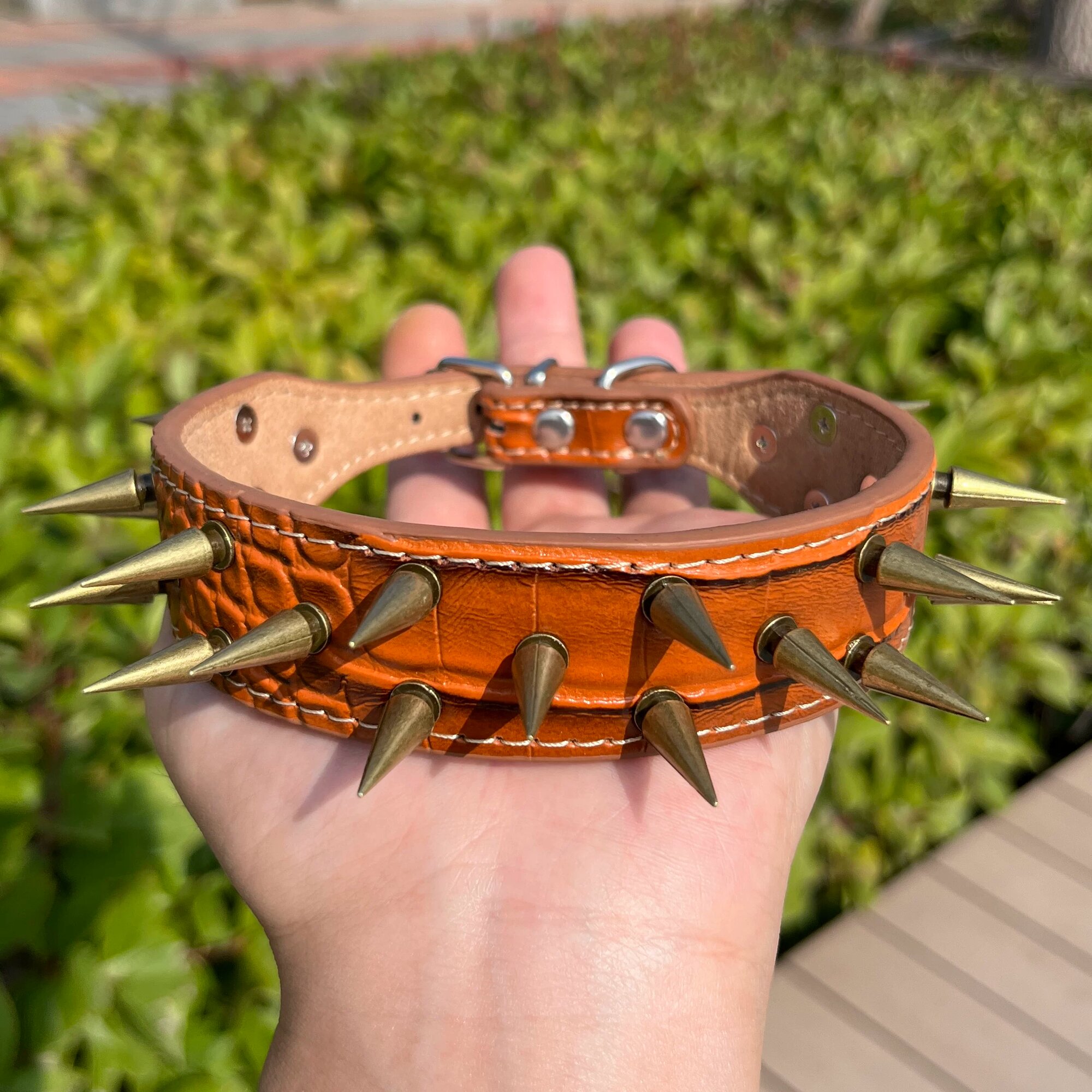 Ошейник для маленьких собак и кошек с защитой от укусов, с металлическими шипами и заклепками. Светло-коричневый