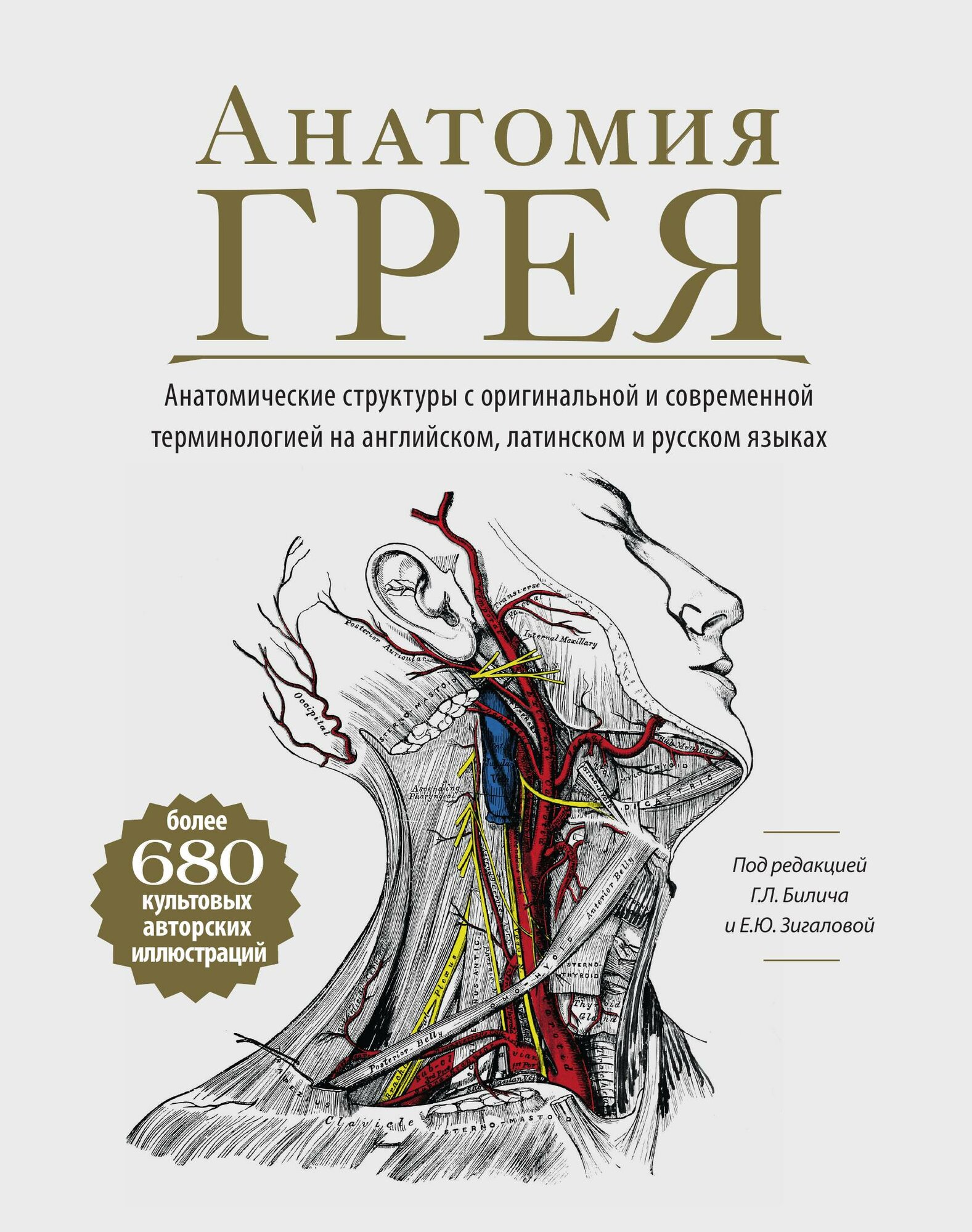 Анатомия Грея. Анатомические структуры с оригинальной и современной терминологией на английском, латинском и русском языках