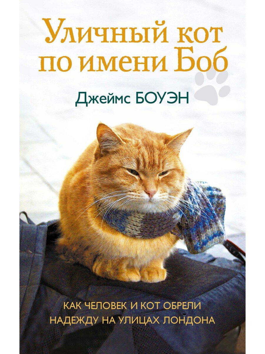 Уличный кот по имени Боб. Как человек и кот обрели надежду на улицах Лондона. Боуэн Дж.