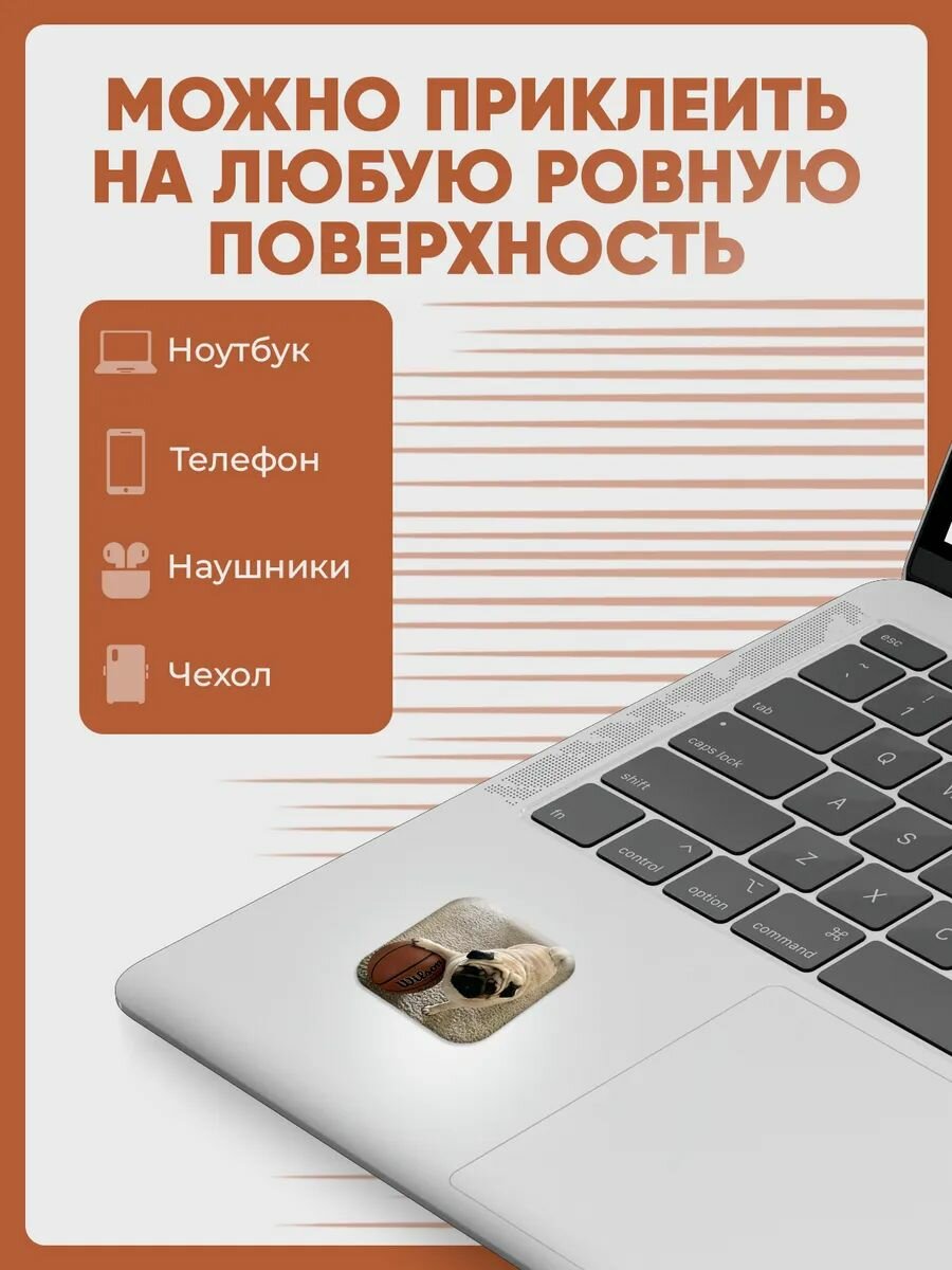 3D стикеры на телефон Мопс — фото 1