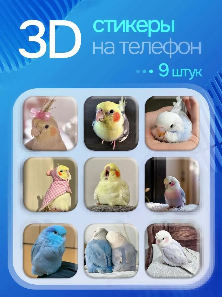 3D стикеры на телефон попугай