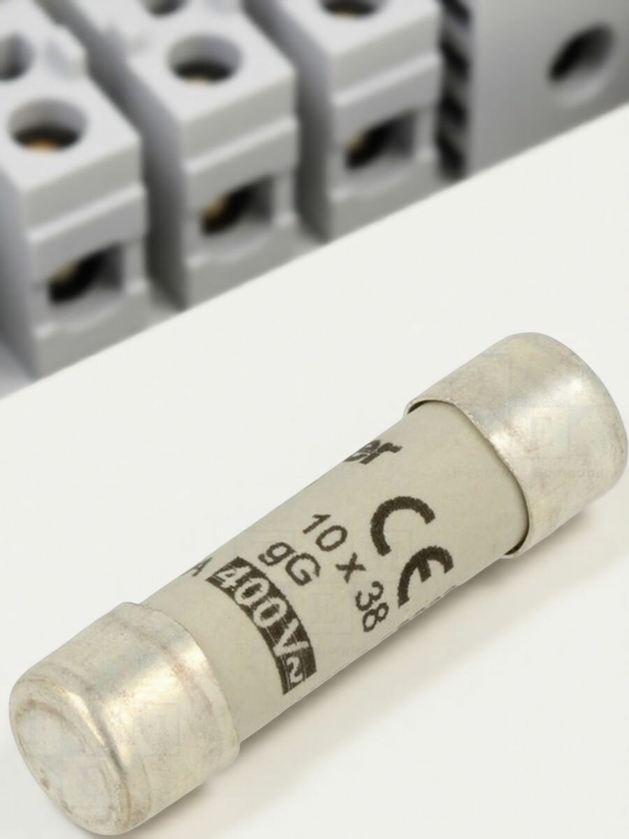 Предохранитель тип GG, размер 10х38,25А Schneider Electric