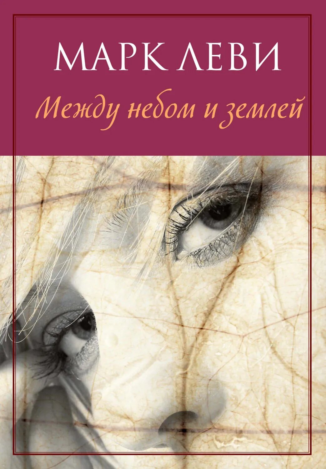 Между небом и землей [Цифровая книга]