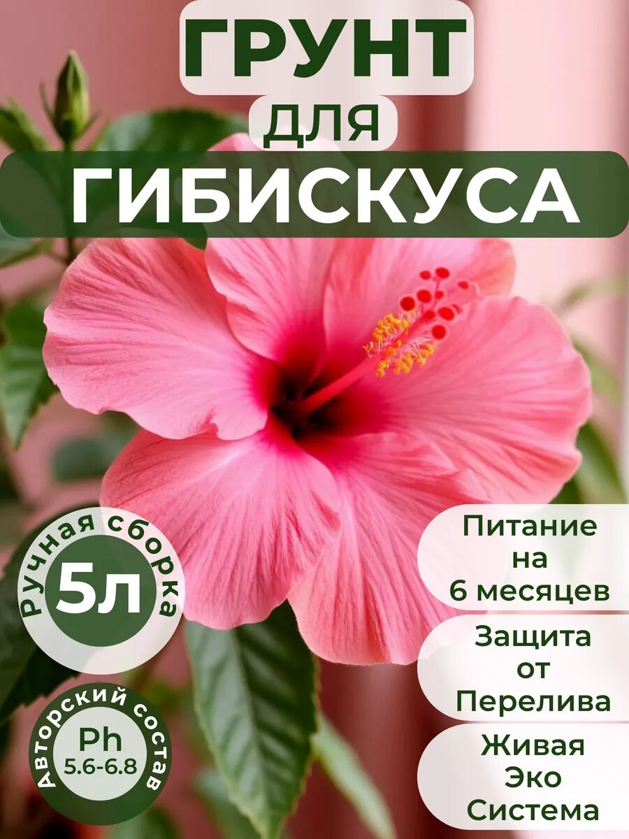 Готовый авторский грунт для Гибискуса, премиум 5 литров