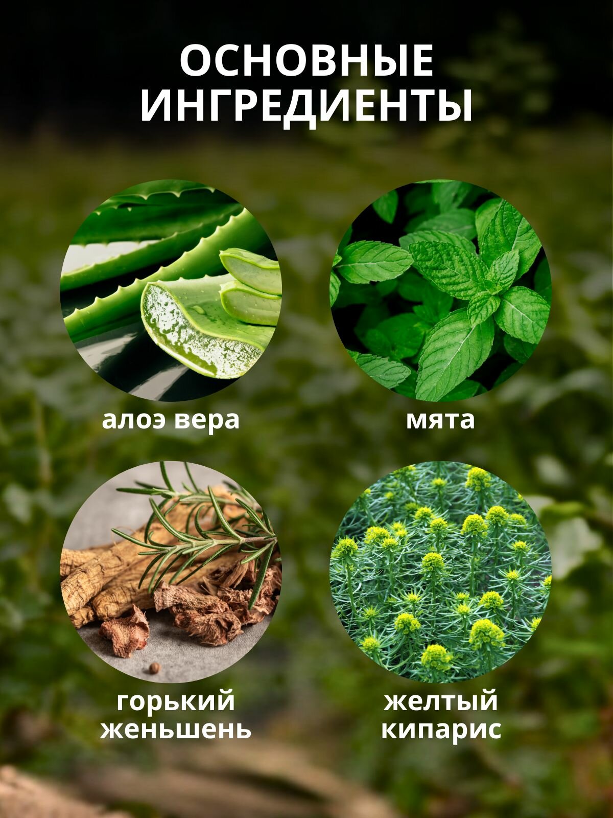 Лечебное средство — фото 1