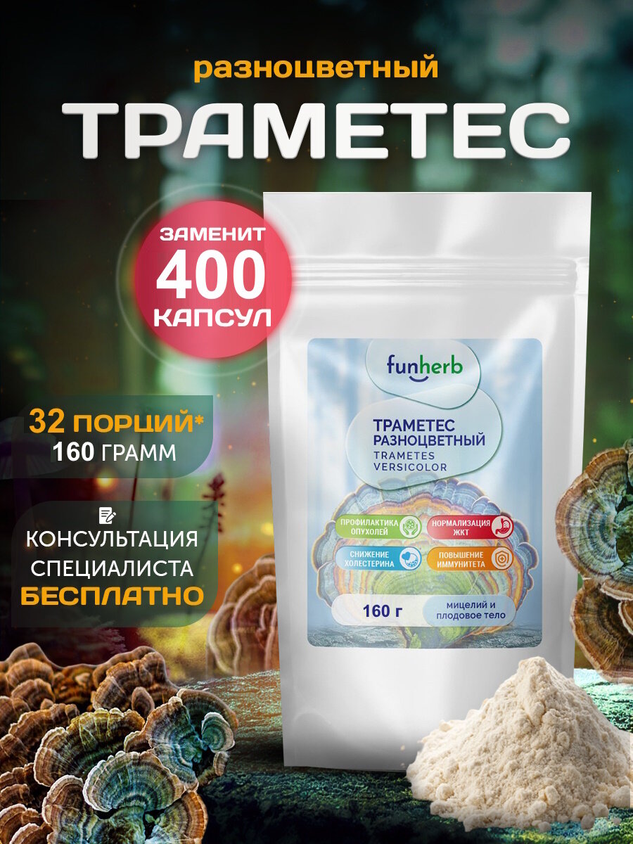 Траметис, гриб, 160 г, для профилактики и лечения онкозаболеваний