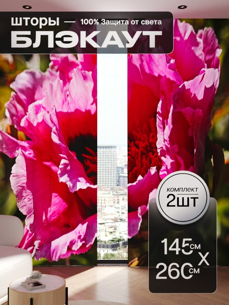 Шторы блэкаут 145x260 см 2 шт на окна плотные комплект