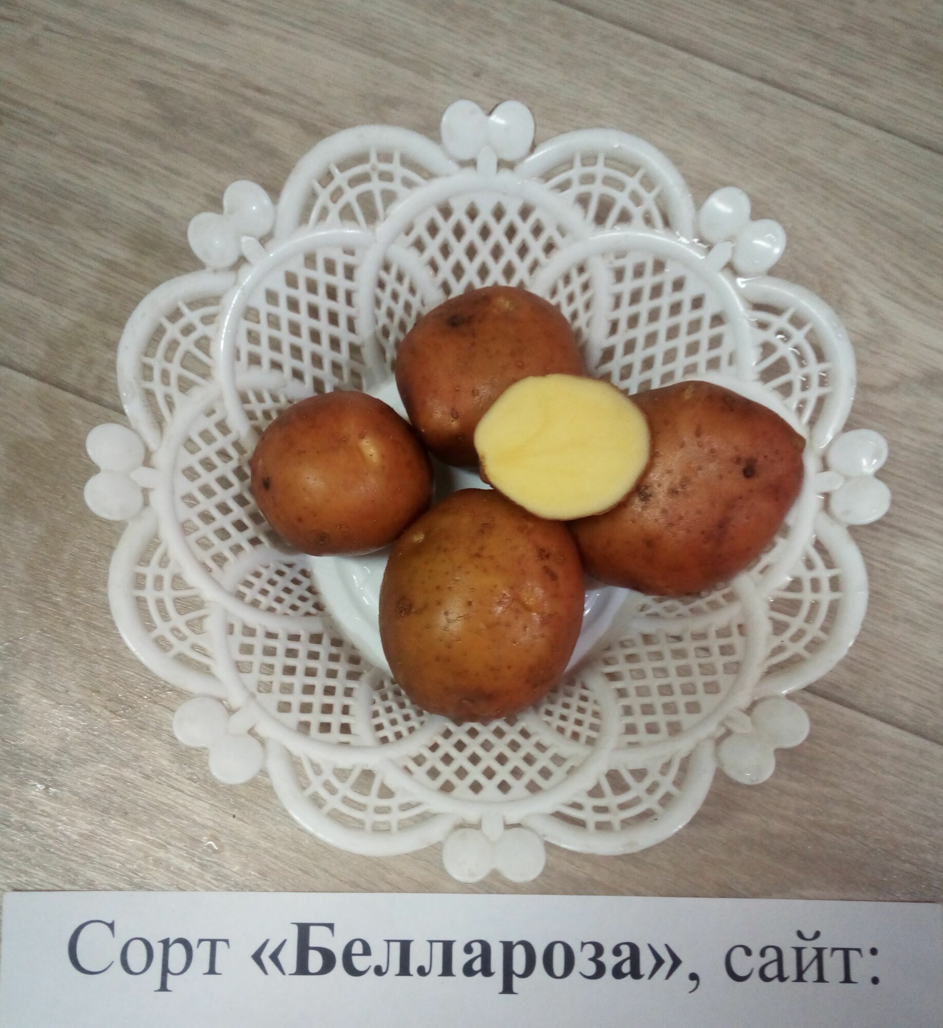 Беллароза - 2 кг.